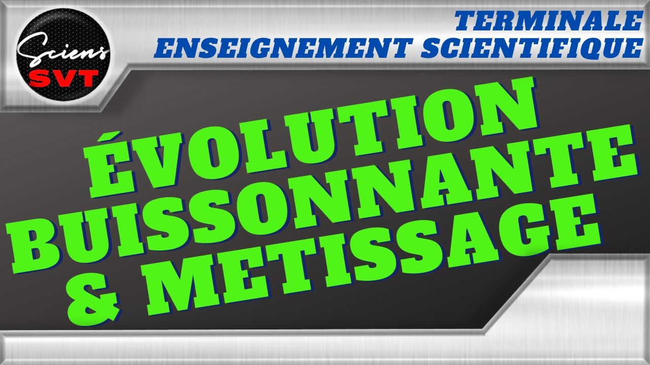 EVOLUTION BUISSONNANTE & METISSAGE - EVOLUTION HUMAINE - TERMINALE ...