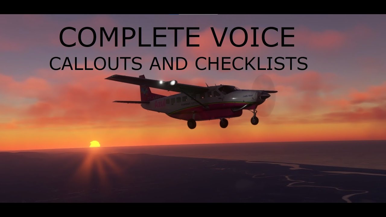 VOICE COMMANDS - Callouts and checklists - VoiceAttack app - YouTube