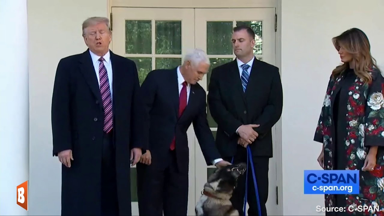 Hero Dog 'Conan' Visits the White House - YouTube