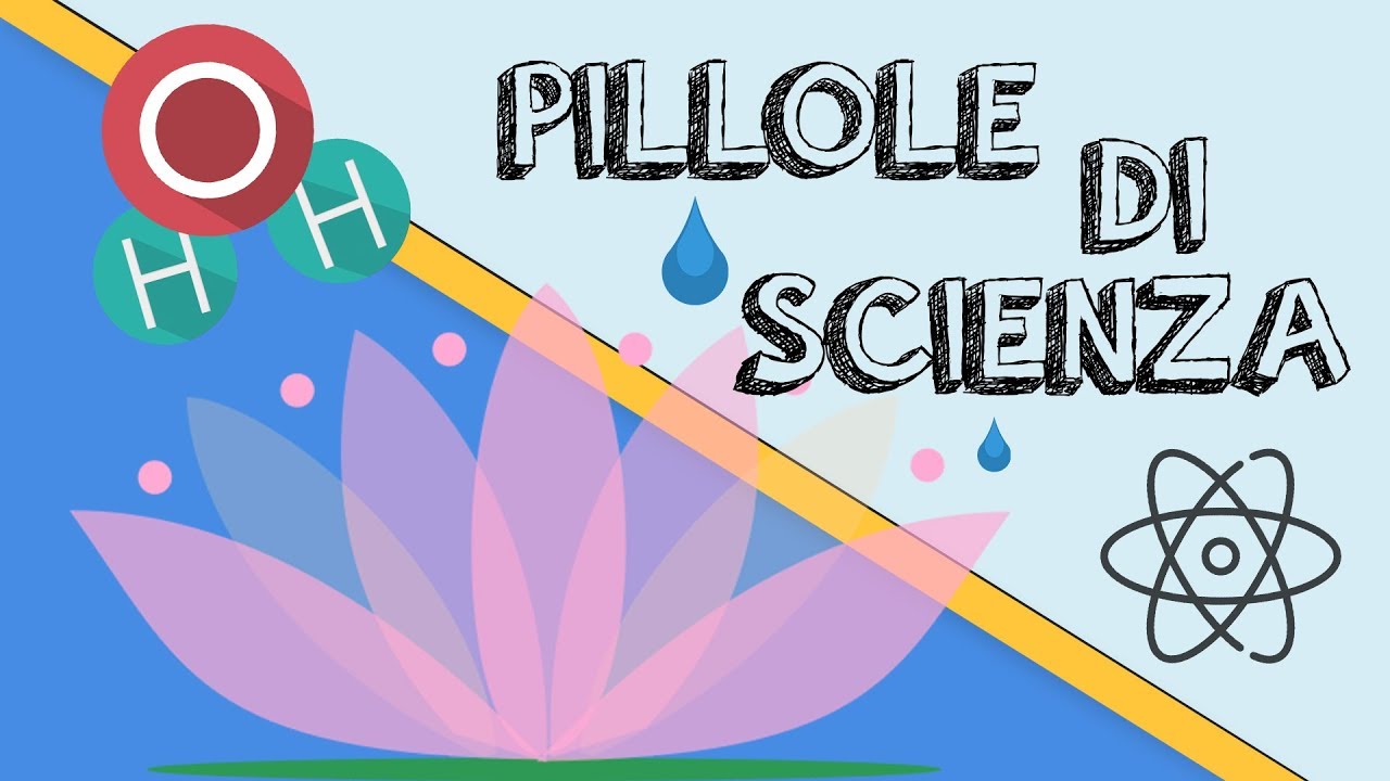 IDROFILO E IDROFOBO • Pillole di scienza - YouTube