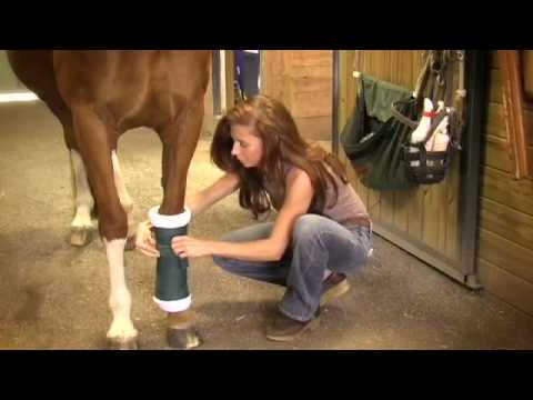 How to apply standing wraps - YouTube