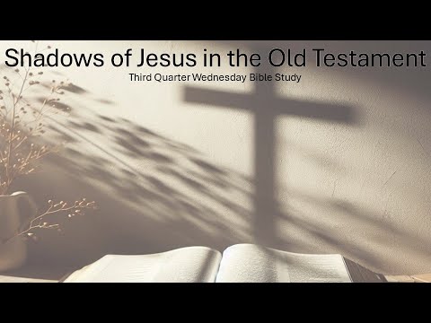Shadows of Christ: The Sacrificial System - YouTube
