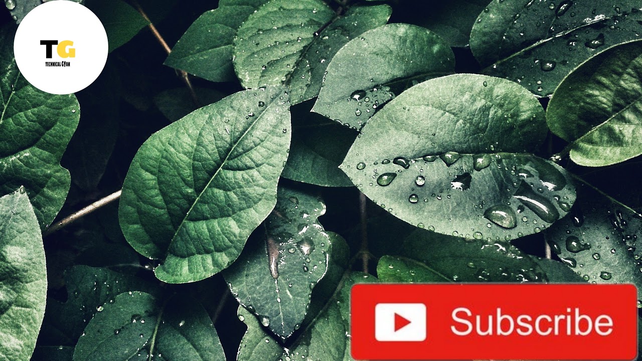 The Technical Gyan Live Stream - YouTube