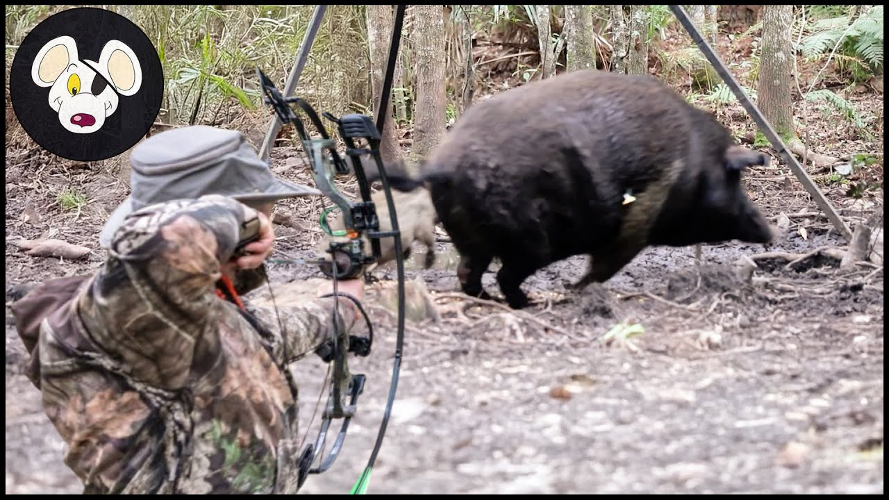 The Ultimate Boar Hunt - Florida Farmers and Hunters vs Giant Wild ...