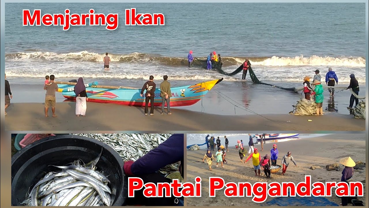 Dapet Ikan Layur Besar-besar | Nelayan Pantai Pangandaran - YouTube