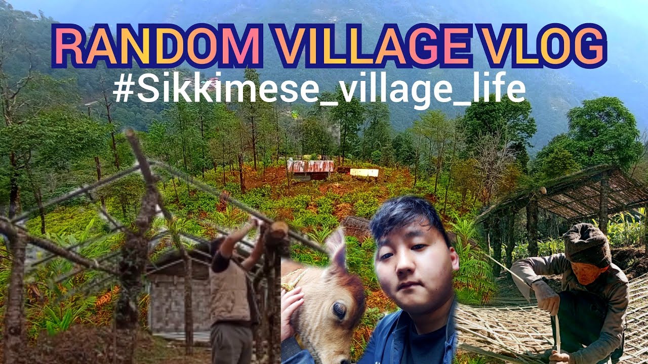 Random Village Vlog 😅 - YouTube