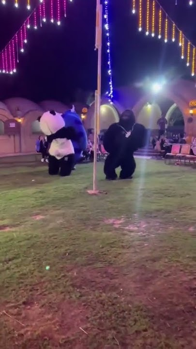 عندهم البطيخ🍉 حته لو بكومنت يعبر عن شعورك😣🍉 Music اكسبلور Explore ضحك Panda تيكتوك ترند