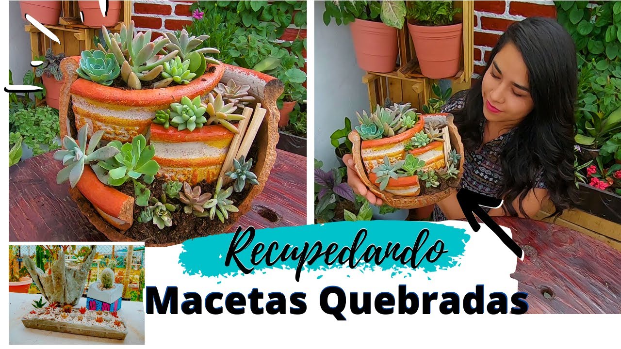 TRANSFORMA TU MACETA ROTA EN UN MINI JARDÍN DE SUCULENTAS - YouTube