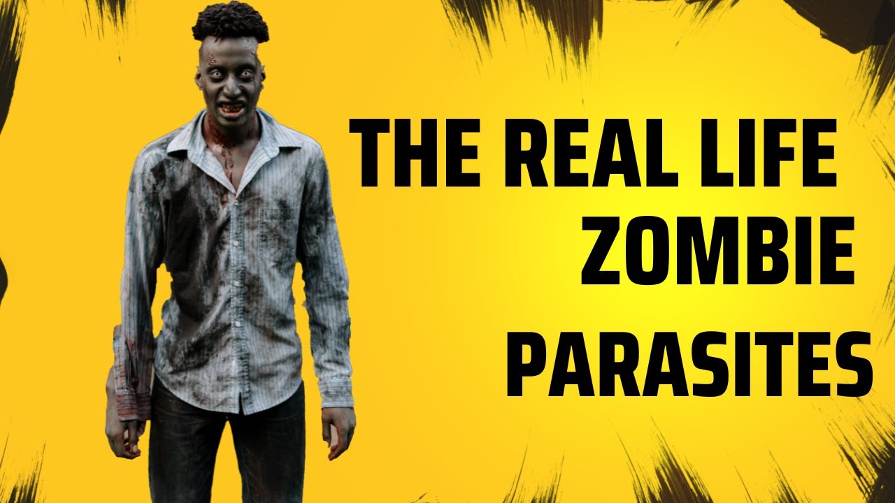 Zombie Parasites: The Real-Life Horror Story of Brain-Controlling ...