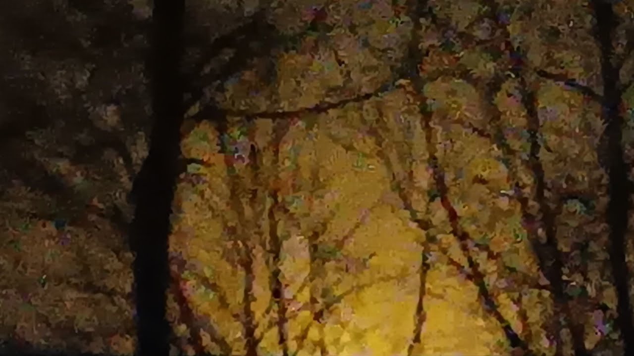 Lucifer in The Garden of Eden - YouTube