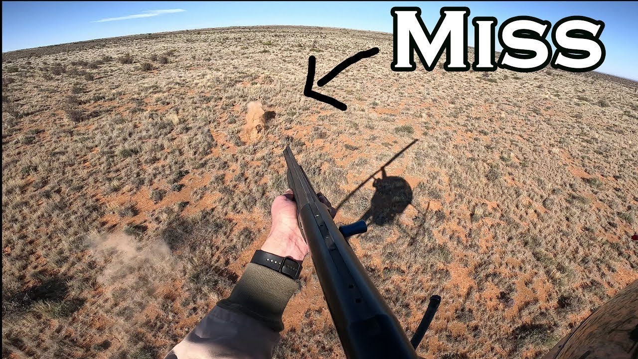 Is My Gunner BADD? - YouTube