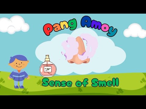 Learn 5 Senses or 5 Pandama in 1 minute! Taglish Video 2024 ...