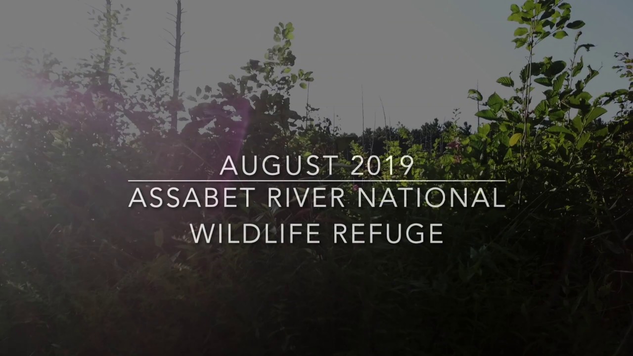 Assabet River National Wildlife Refuge from above - YouTube