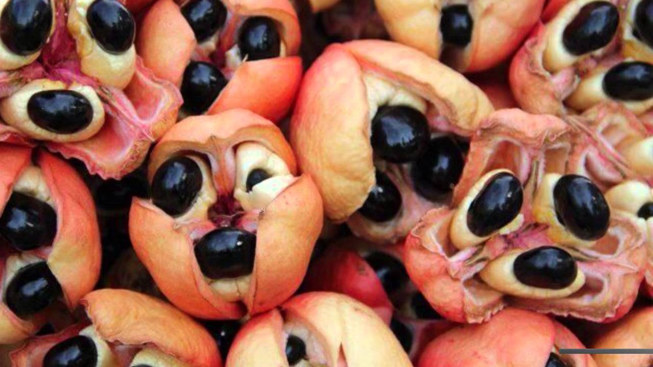 Top 10 Fructe Exotice - YouTube