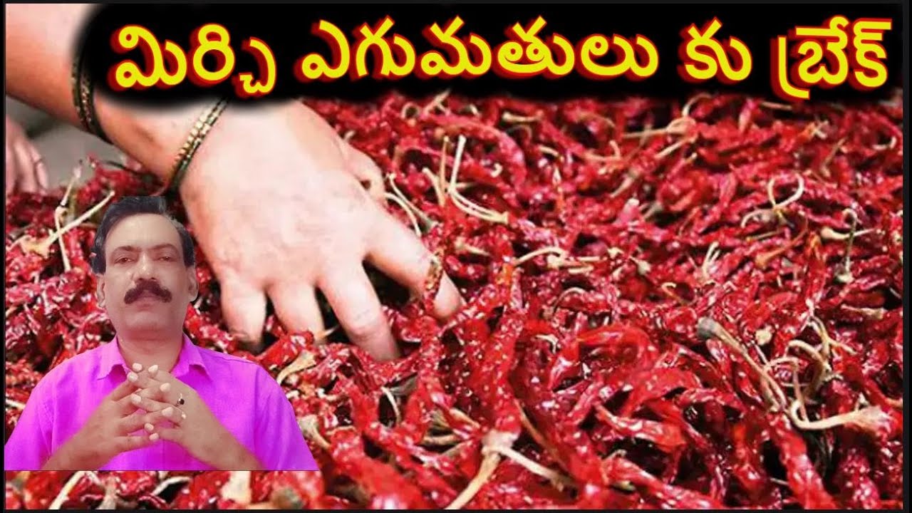 మిర్చి రసాయనాల అవశేషాలు Guntur Mirchi Market Report Chilli powder ...