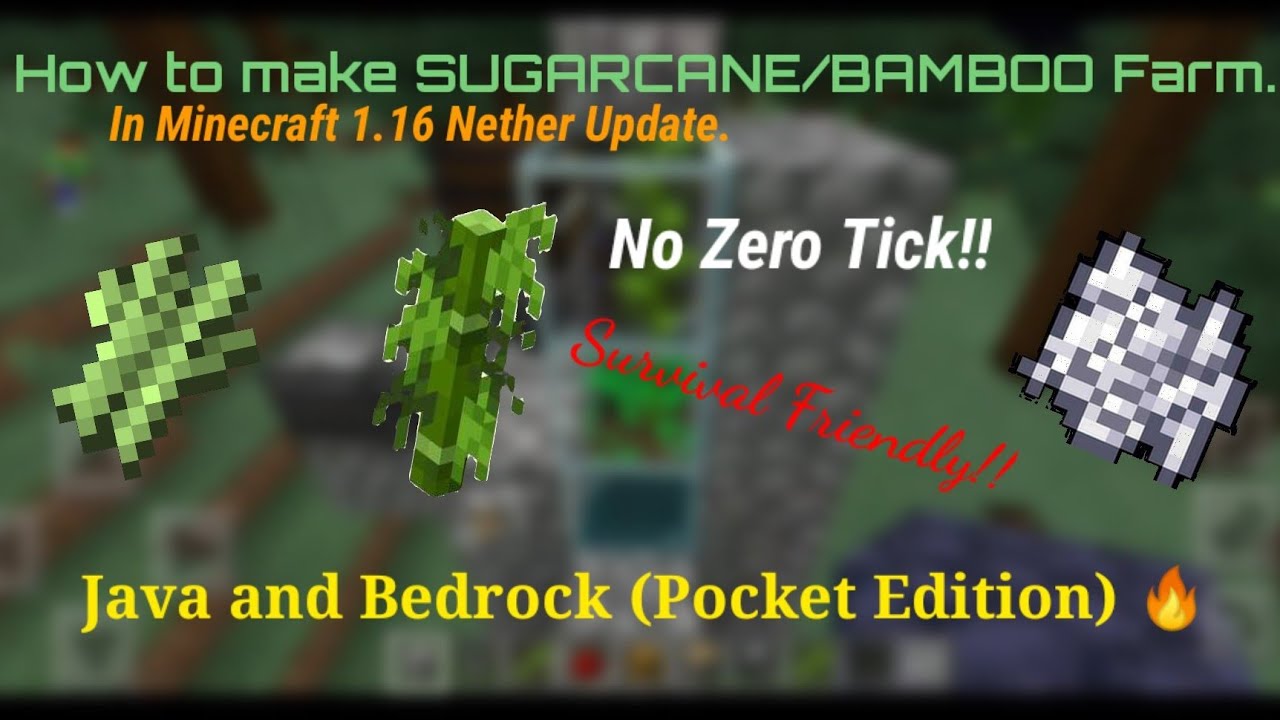 How to make SUGARCANE / BAMBOO Farm in Minecraft 1.16. no zero tick ...