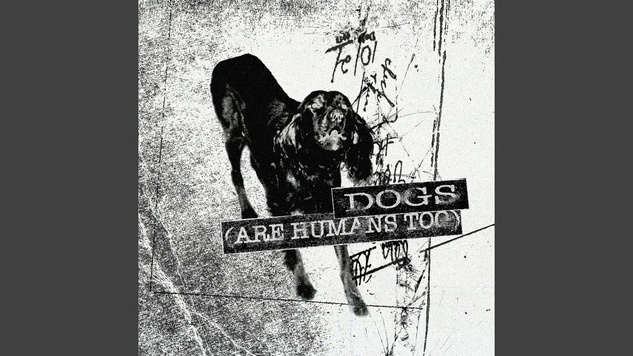DOGS (ARE HUMANS TOO) - YouTube