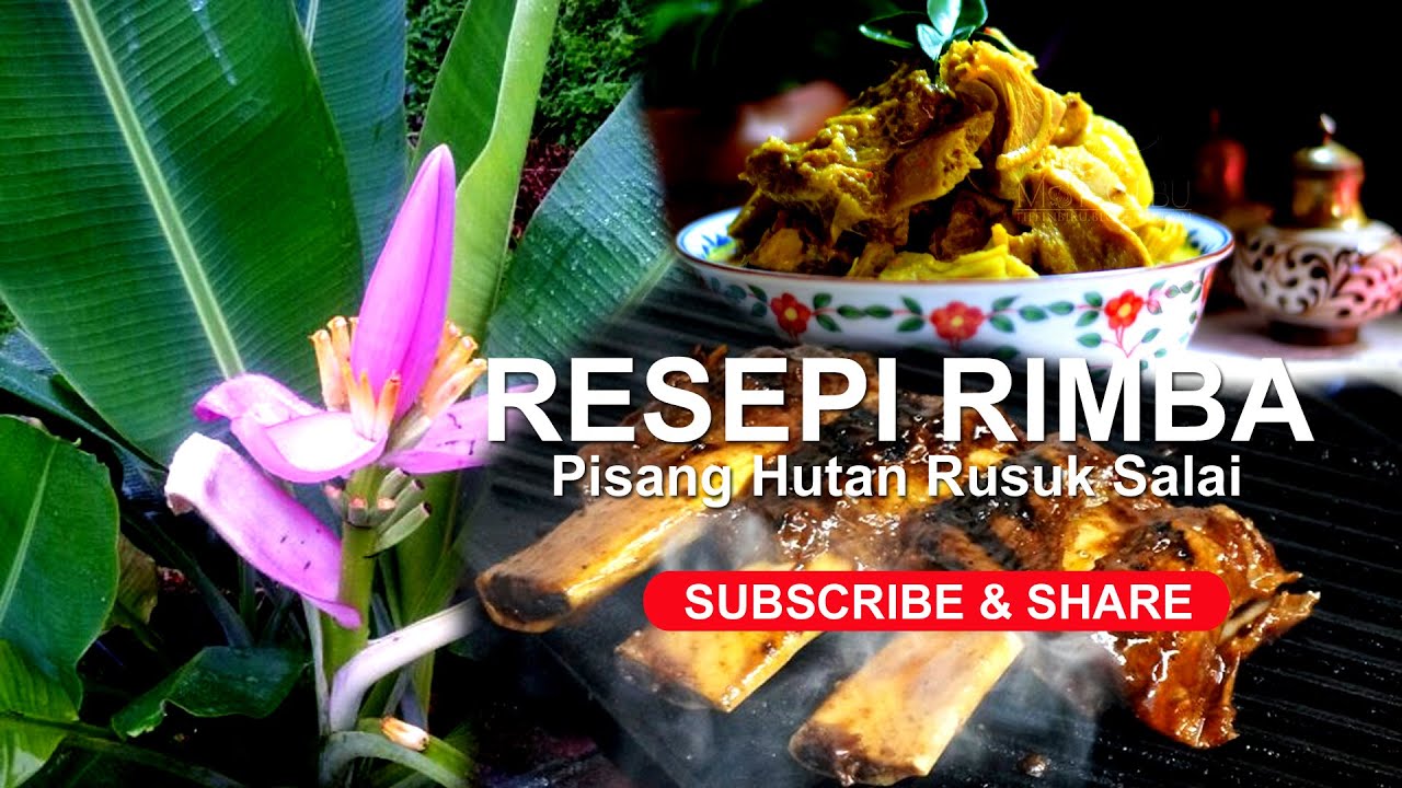 Masakan Rimba - 1 - YouTube