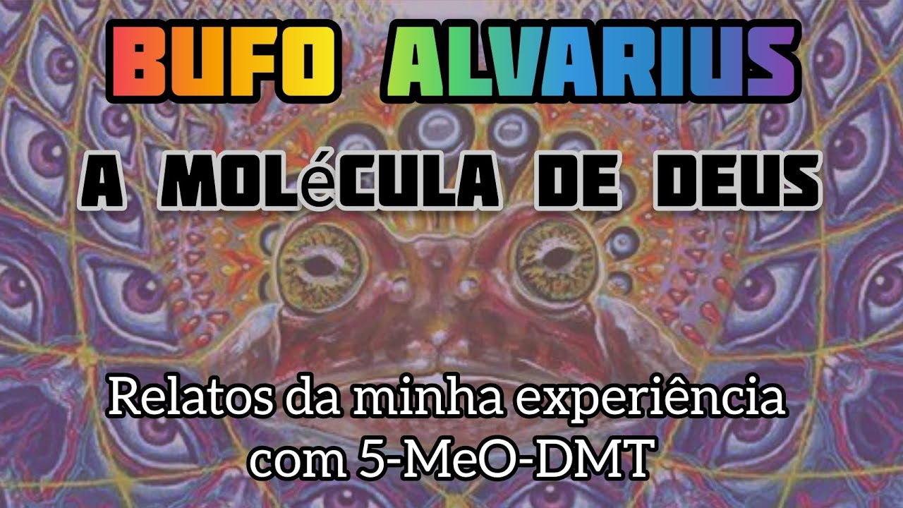 5-MeO-DMT {Minha experiência com a Medicina do Sapo Bufo Alvarius ...