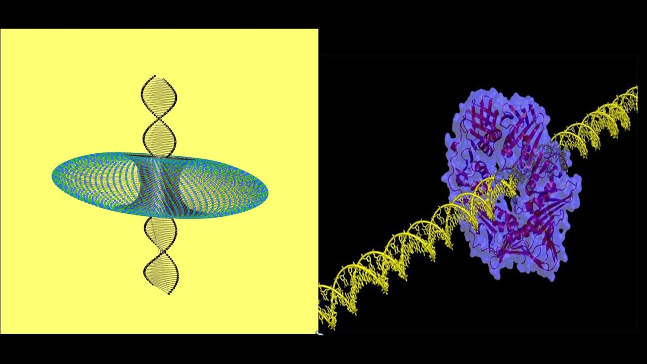 from wormholes to DNA - YouTube