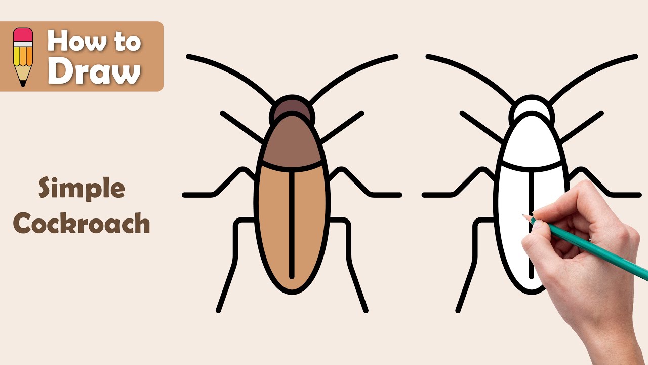 ️ How to Draw a Simple Cockroach - YouTube