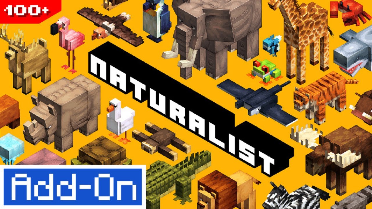 Trying out the 'Naturalist Add-On' in a new MINECRAFT world (with ...