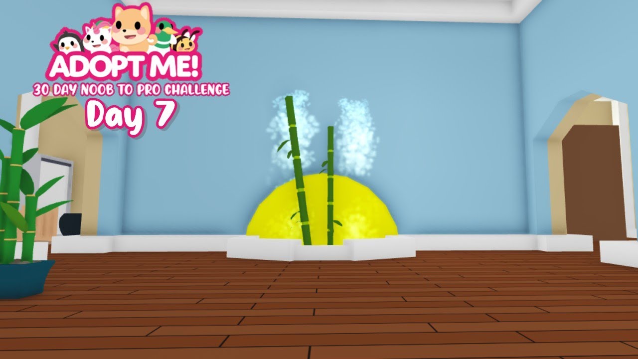 Adopt Me Dragon's Castle Speed Build: Day 7- Adopt Me 30-Day Noob To ...