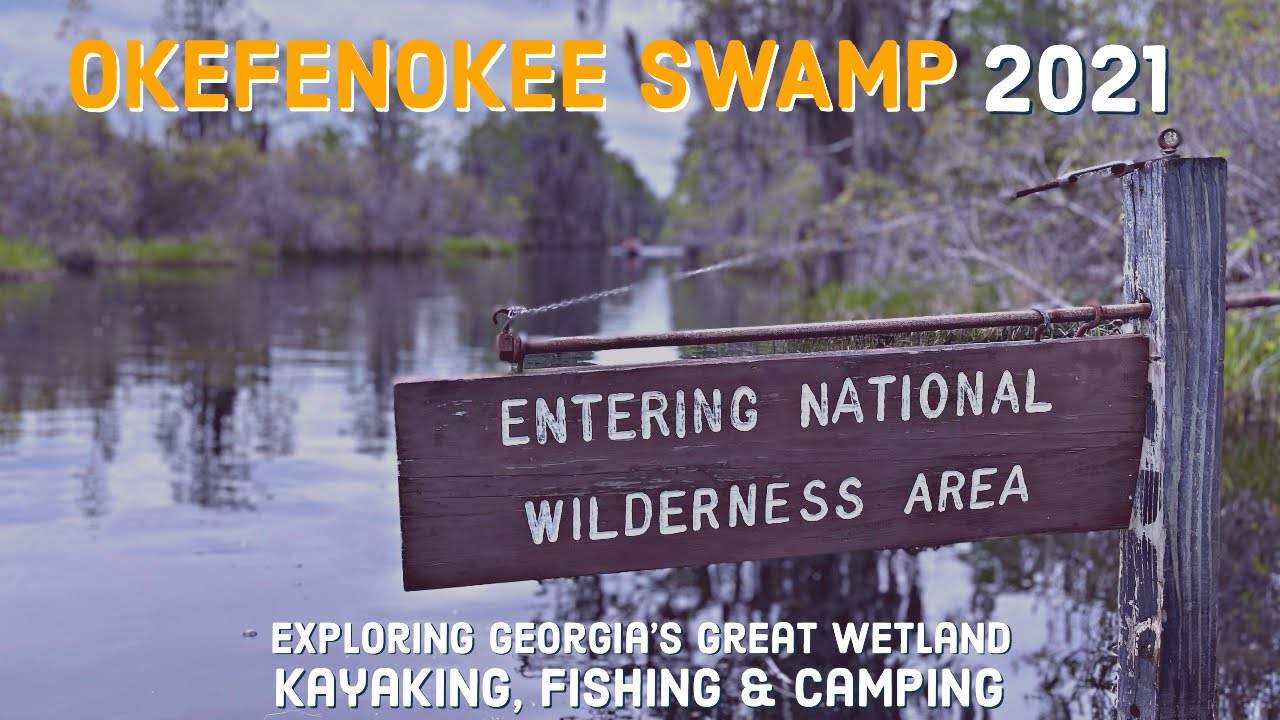 Exploring the Okefenokee Swamp in Kayaks - GKF Oke Camp N Paddle - YouTube