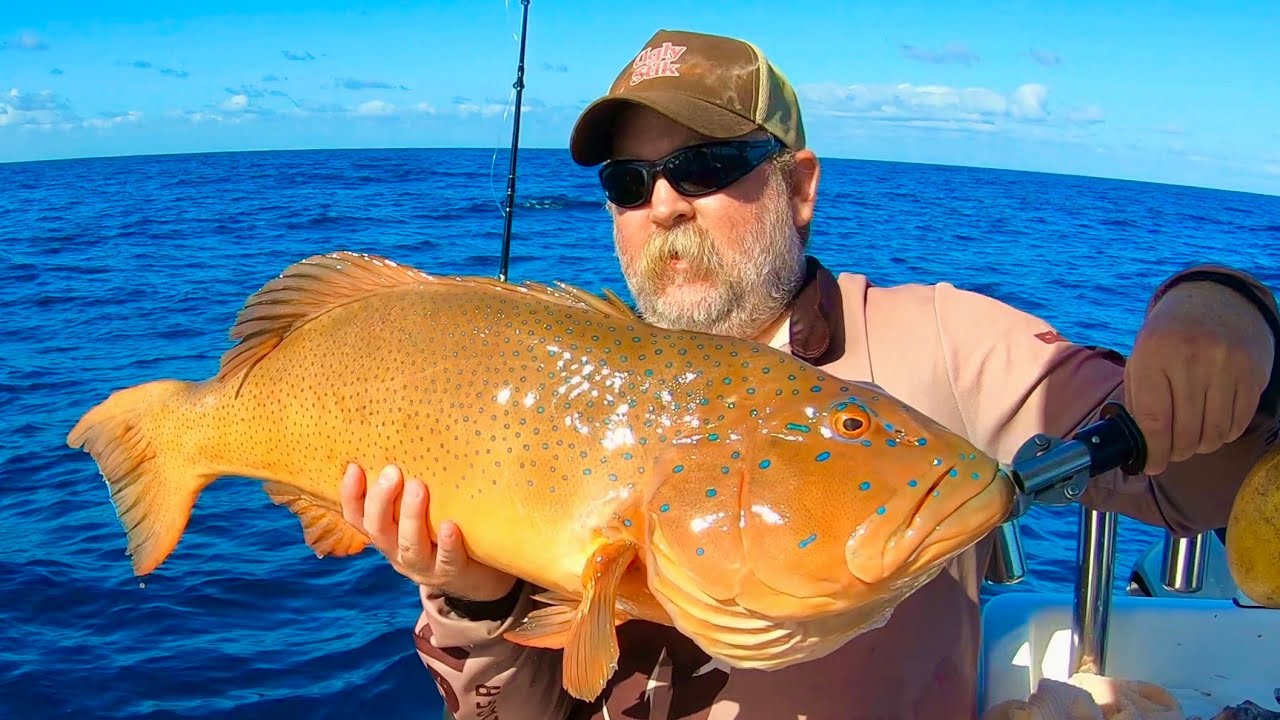 KING KONG CORAL TROUT - Live Baits Bring Home The Bacon - YouTube
