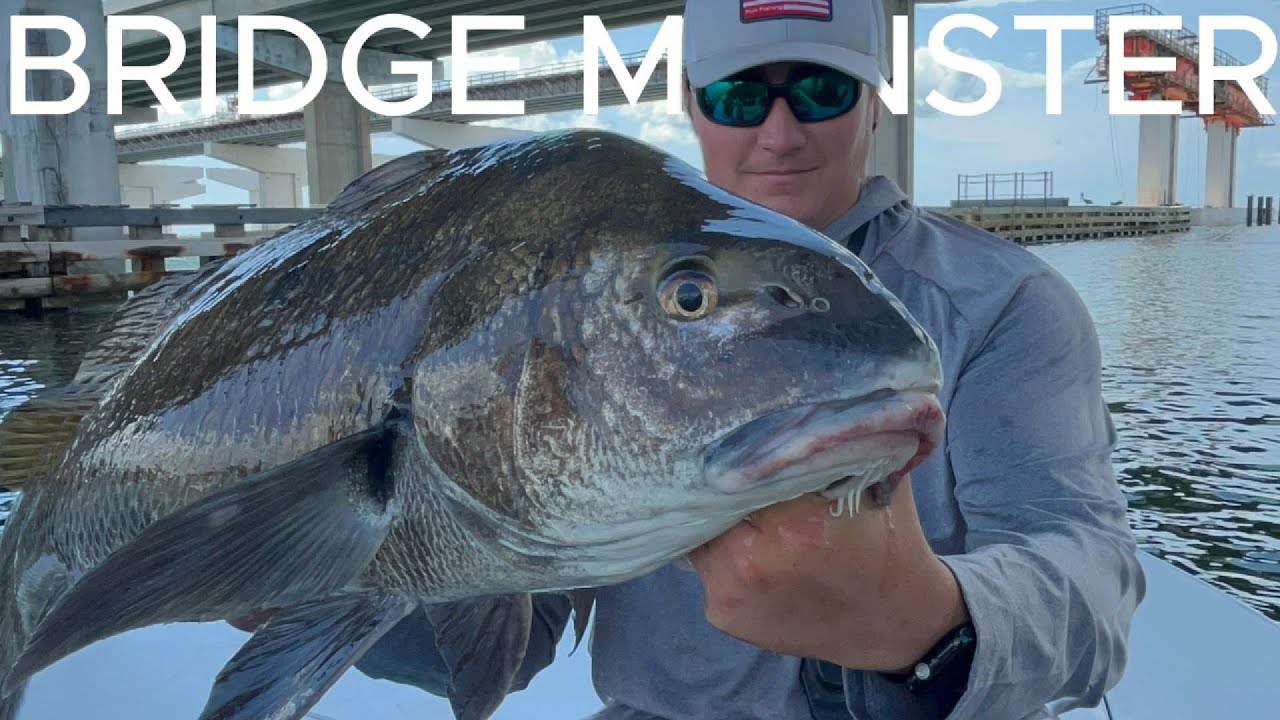 FISHING LIVE CRAB GETS DESTROYED BY BRIDGE BEAST - YouTube