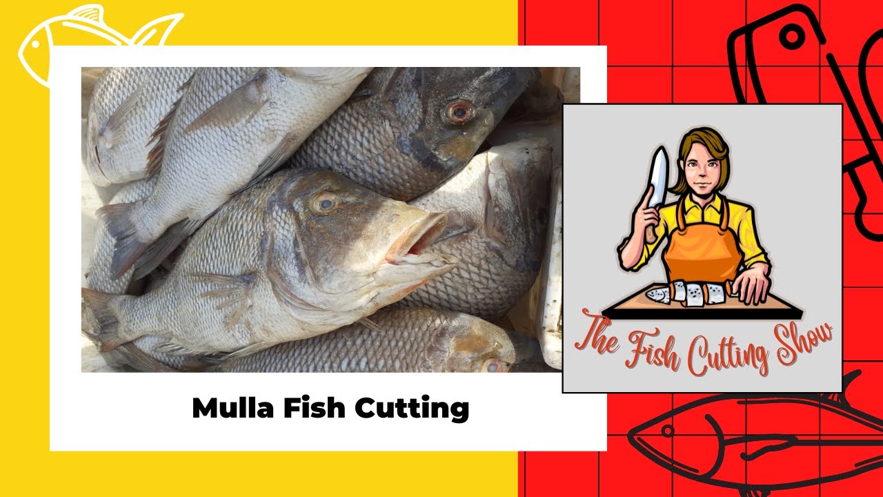Fish Cutting Skill in Karachi | Mulla Fish | Cutting for Fry | Fish ...