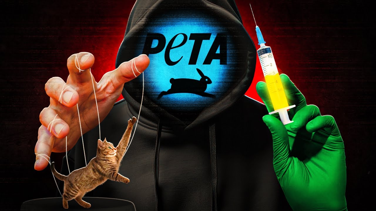 The Satisfying Downfall Of Peta - YouTube