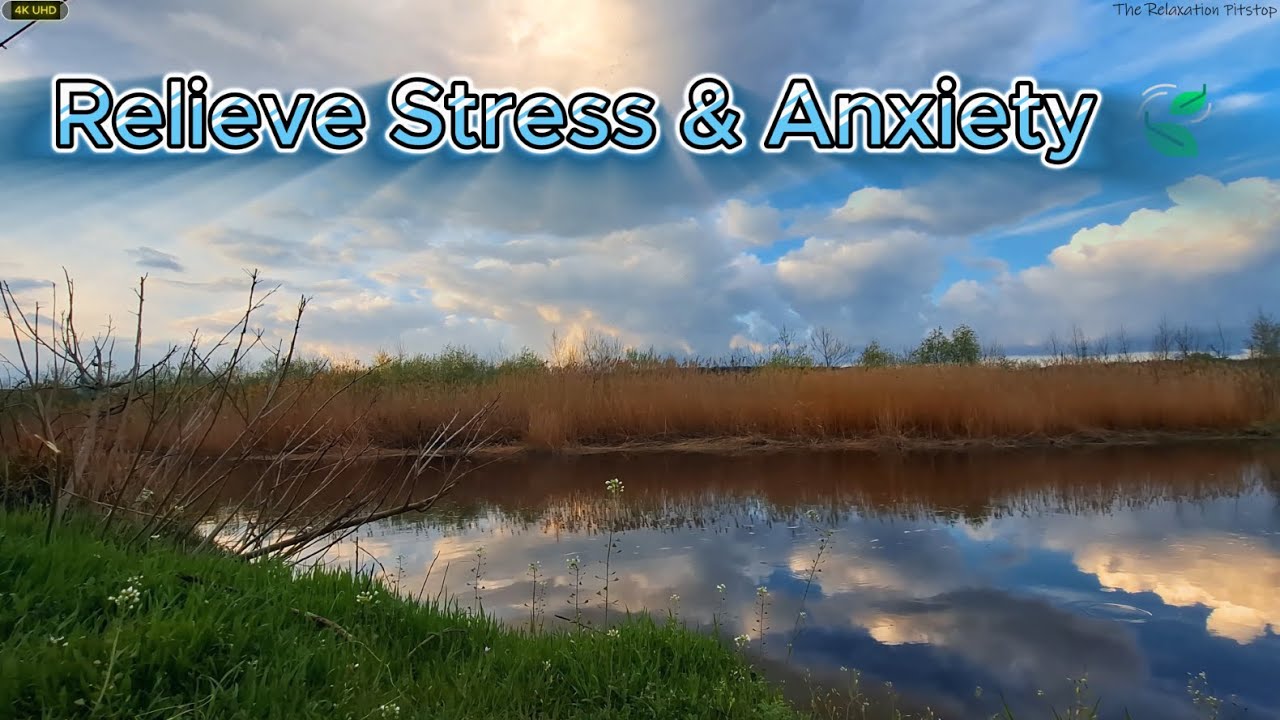 Calm Skies, Restless Minds - A Journey Through Nature, Color, and ...