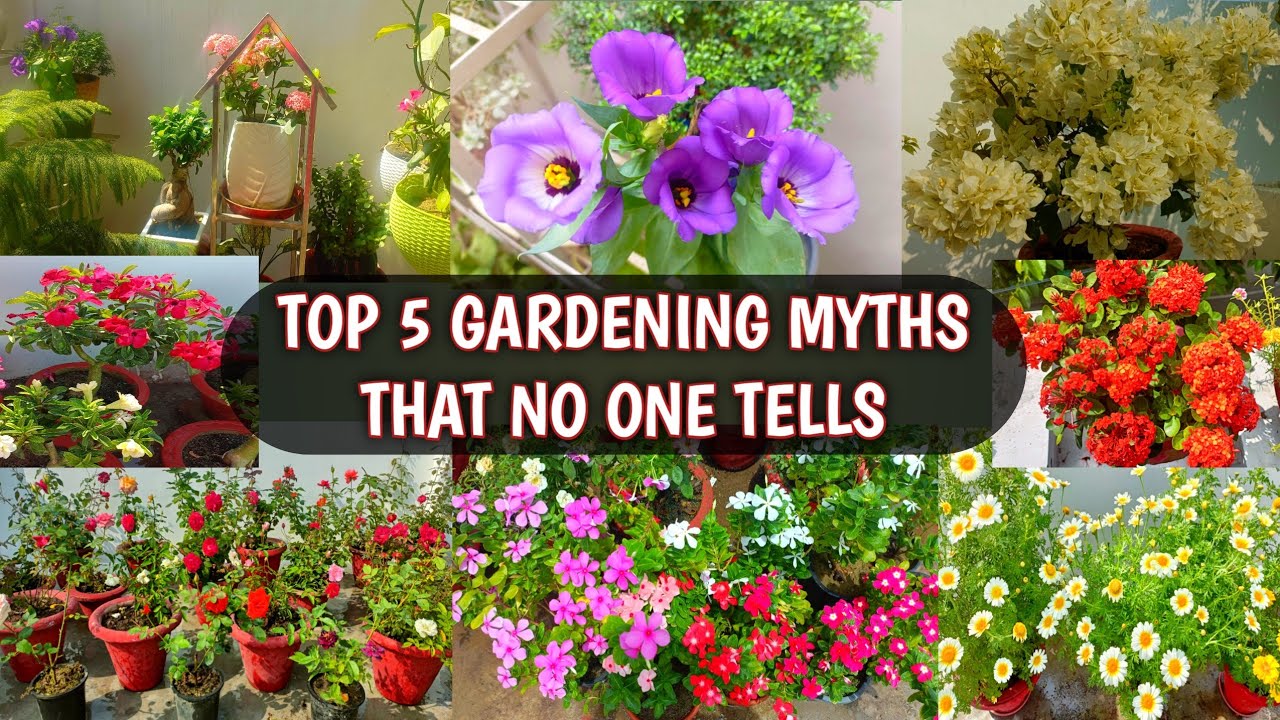 TOP 5 GARDENING MYTHS......BUSTED ! | GARDENING MYTHS THAT NO ONE TELLS ...