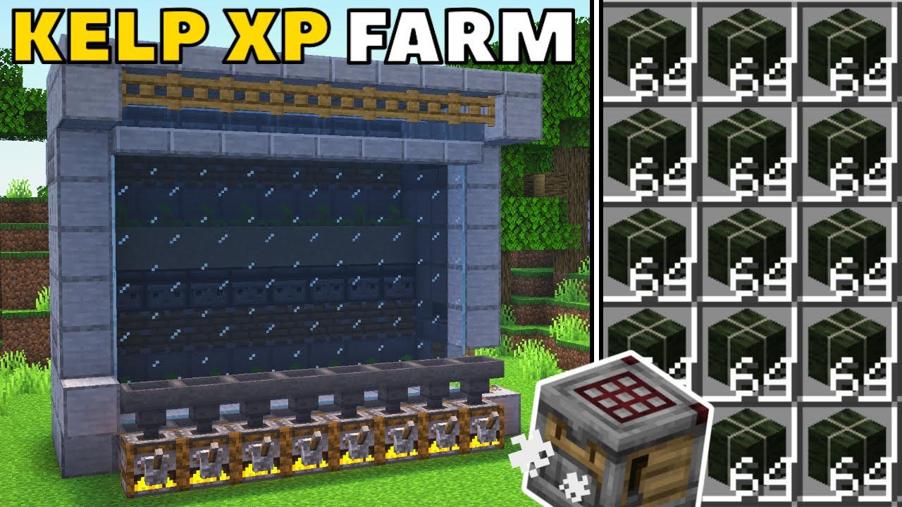 The BEST KELP XP Farm in Minecraft 1.21! - Bedrock & Java Edition ...