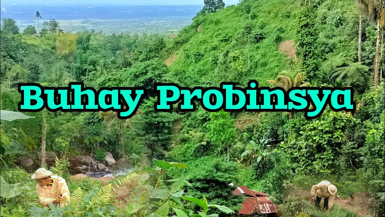 Buhay probinsya|Buhay Bukid|Simple at Presko:Philippine country side ...