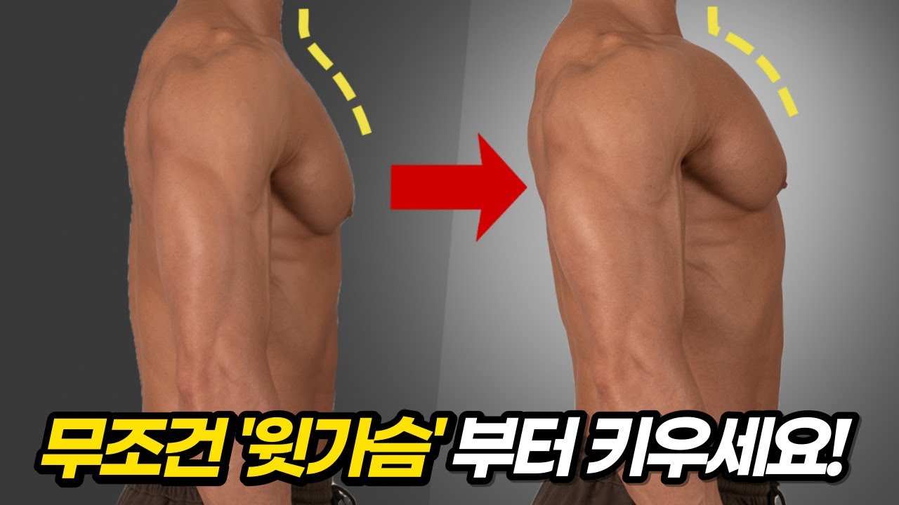 일반인이 덤벨로 ‘윗가슴을 키우는 가장 빠른 루틴 Youtube