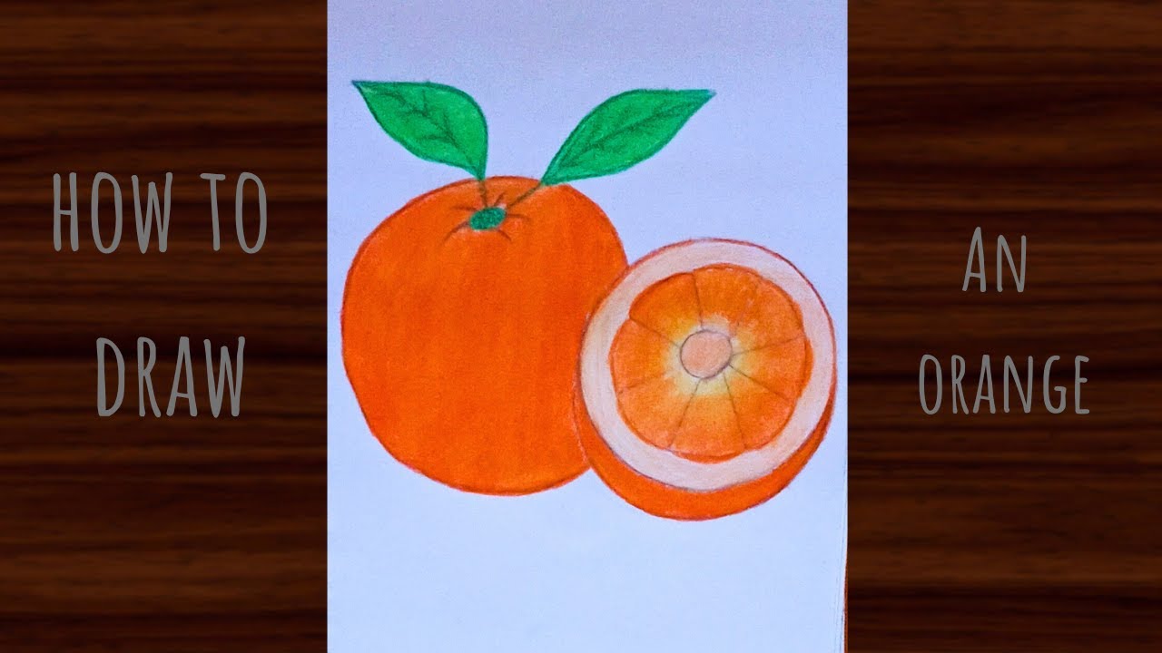 How To Draw An Orange Very Easy Step By Step | Easy Fruit Drawing🍊 ...