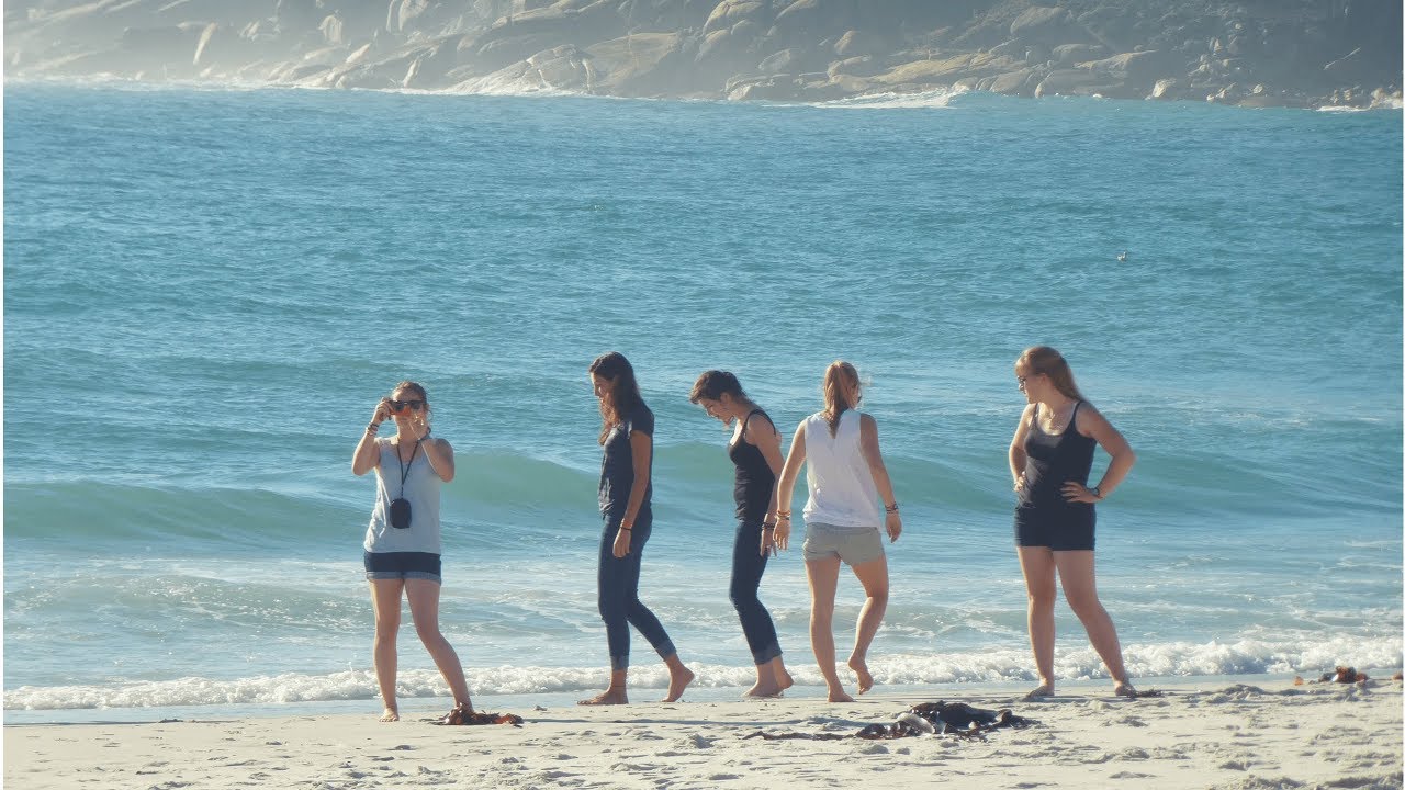 LAL Cape Town - African Adventure School - YouTube