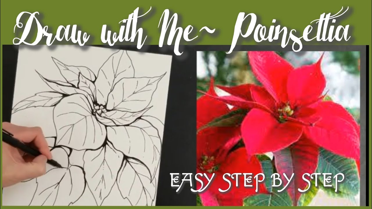 Easy Draw with Me Poinsettia! - YouTube
