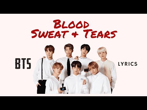 BTS - Blood Sweat & Tears (Color Coded Lyrics Eng/Rom/Korea)