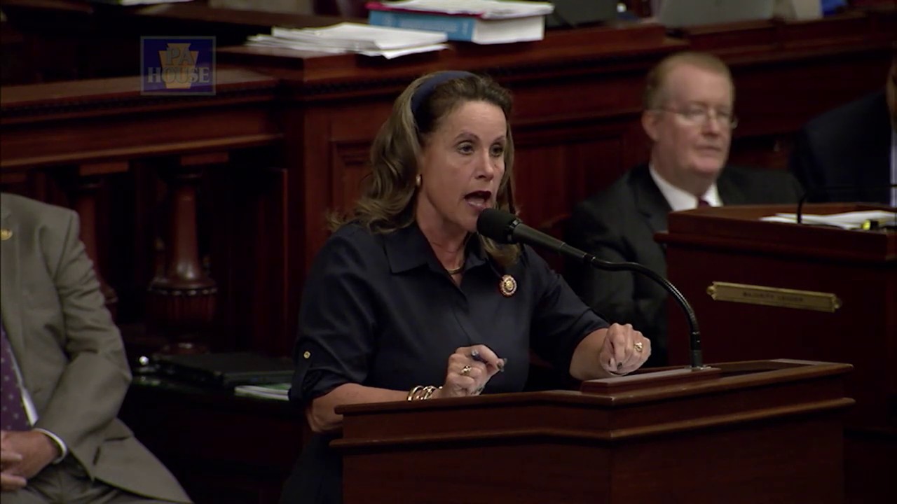 Rep Delozier Argues In Favor Of Budget - YouTube