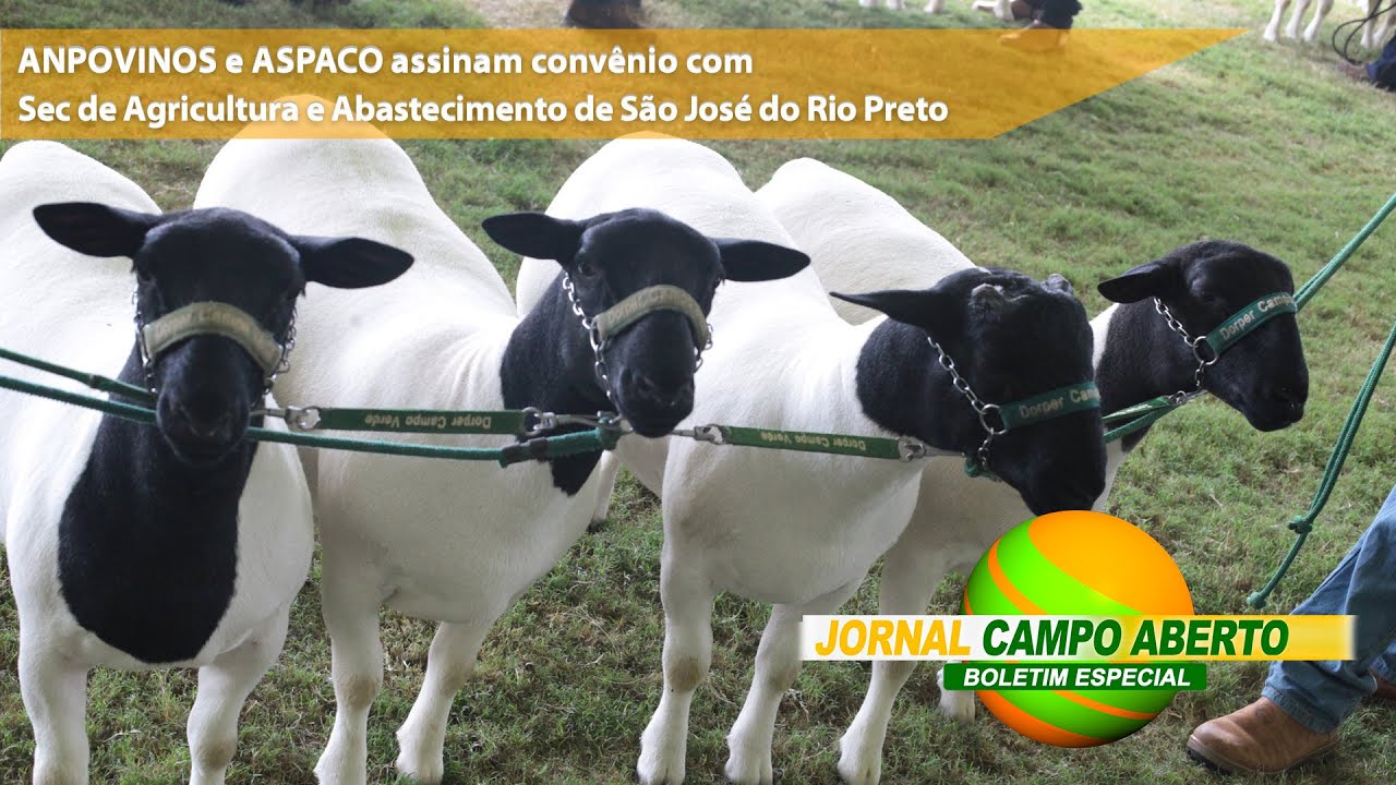 ANPOVINOS e ASPACO assinam convênio com Sec de Agricultura e ...