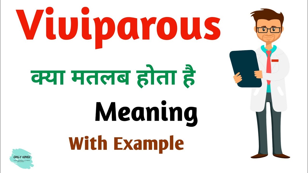 viviparous-meaning-in-hindi-viviparous-ka-kya-matlab-hota-hai-daily