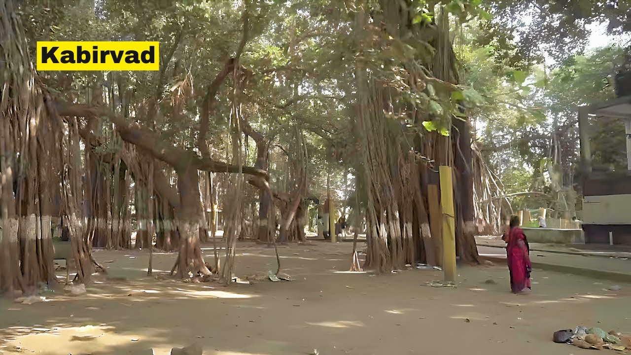 कबीरवड: A Hidden Gem in Gujarat | Walking in Kabirvad | Kabirvad ...