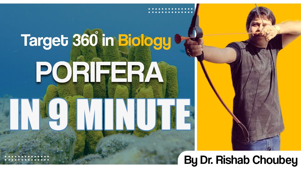 Porifera In 9 Minutes By Dr Rishabh Choubey Sir Bio Guru Youtube