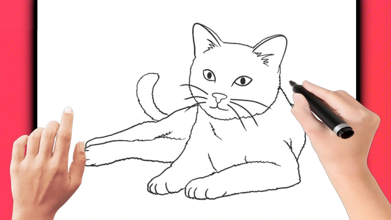 COMMENT DESSINER UN CHAT ? FACILE! - YouTube
