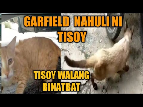 dahil nagloko si misis na moning nag lupasay Ang Kanyang live in ...