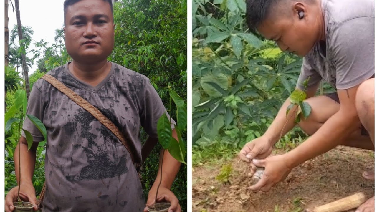 Jhum cultivation-vlog - YouTube