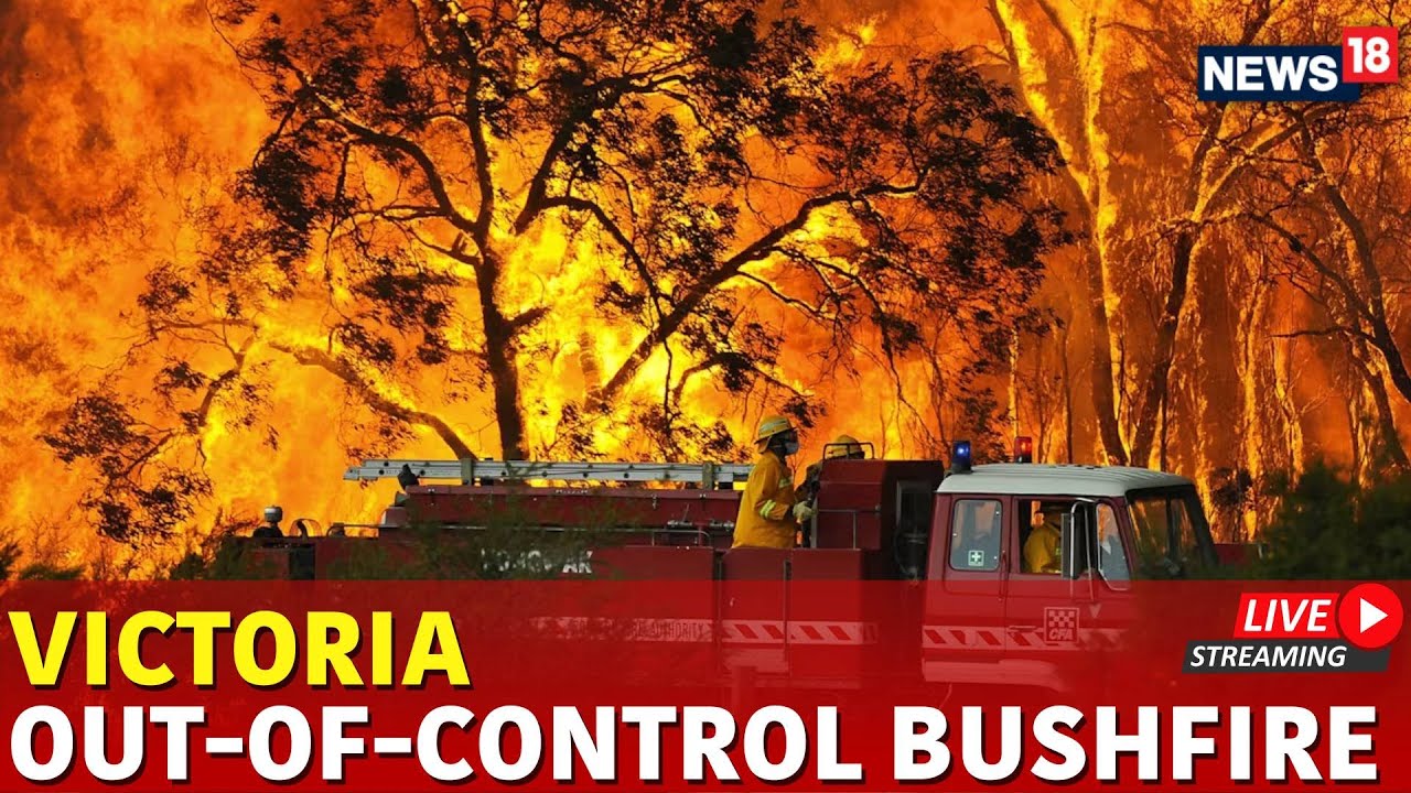 LIVE: Out-Of-Control Victoria Bushfire Horror | Firefighters Prepare ...
